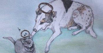 sally - EmpathyMatters.org