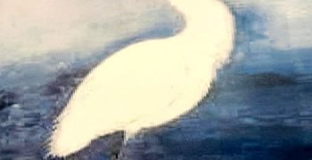 sally - EmpathyMatters.org