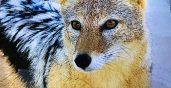 sally - EmpathyMatters.org